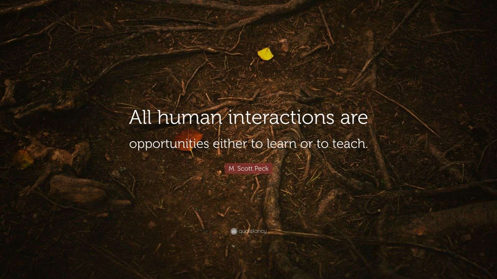M. Scott Peck Quote: “All human interactions are opportunities either ...