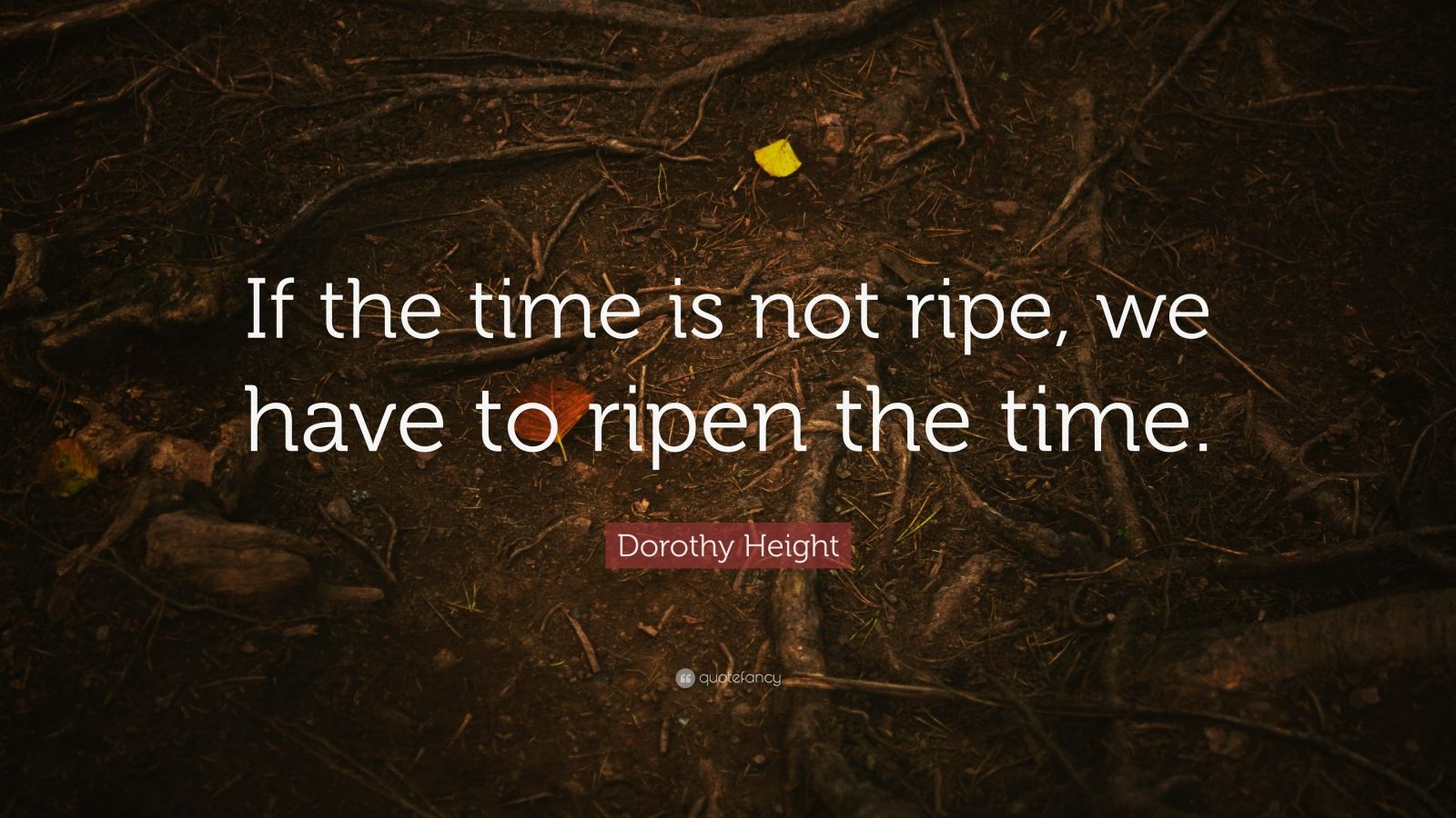 Dorothy Height Quote: “If the time is not ripe, we have to ripen the ...