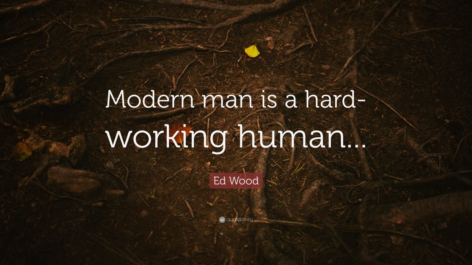Ed Wood Quote: “Modern man is a hard-working human...” (7 wallpapers ...