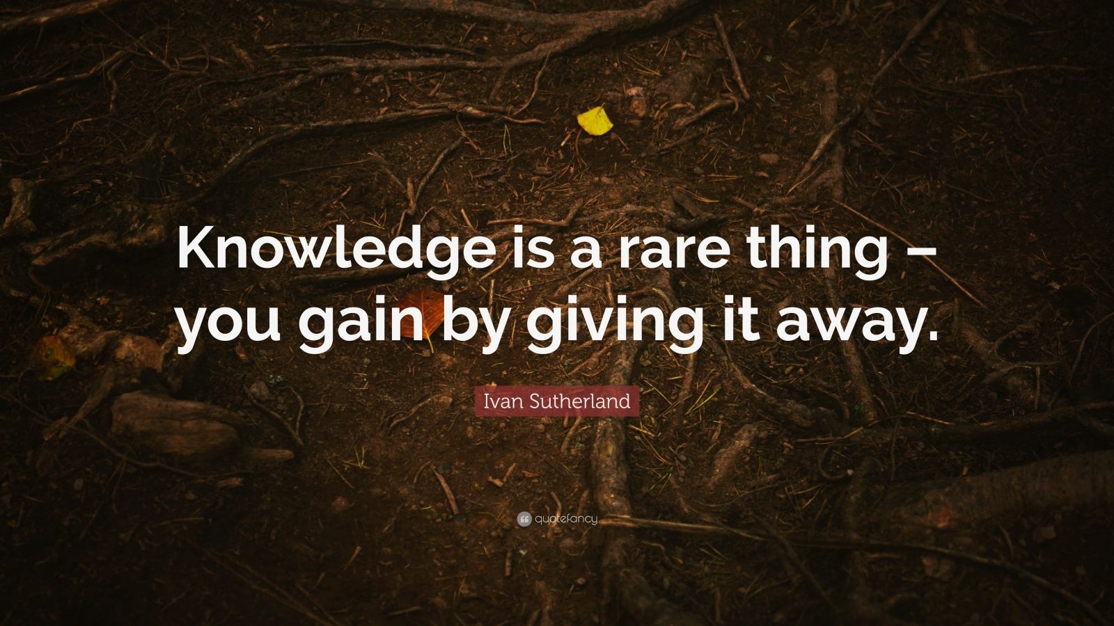 Ivan Sutherland Quote: “Knowledge is a rare thing – you gain by giving ...