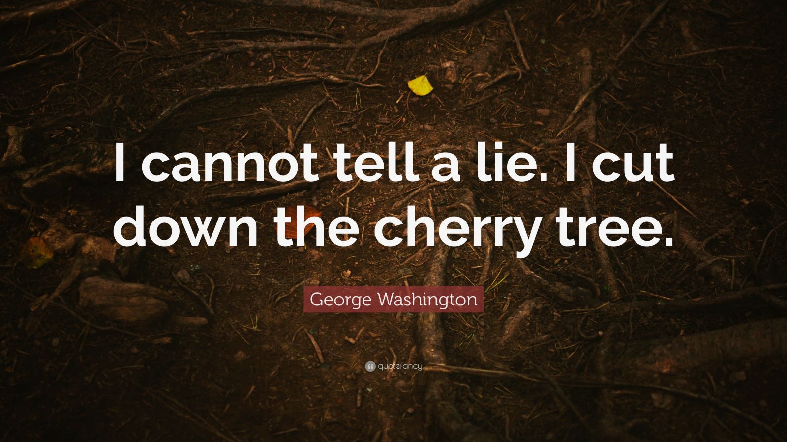 George Washington Quote: “I cannot tell a lie. I cut down the cherry ...