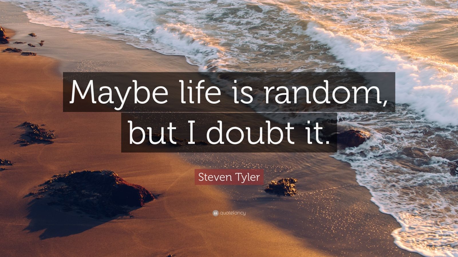 Steven Tyler Quote: “Maybe life is random, but I doubt it.” (7 ...