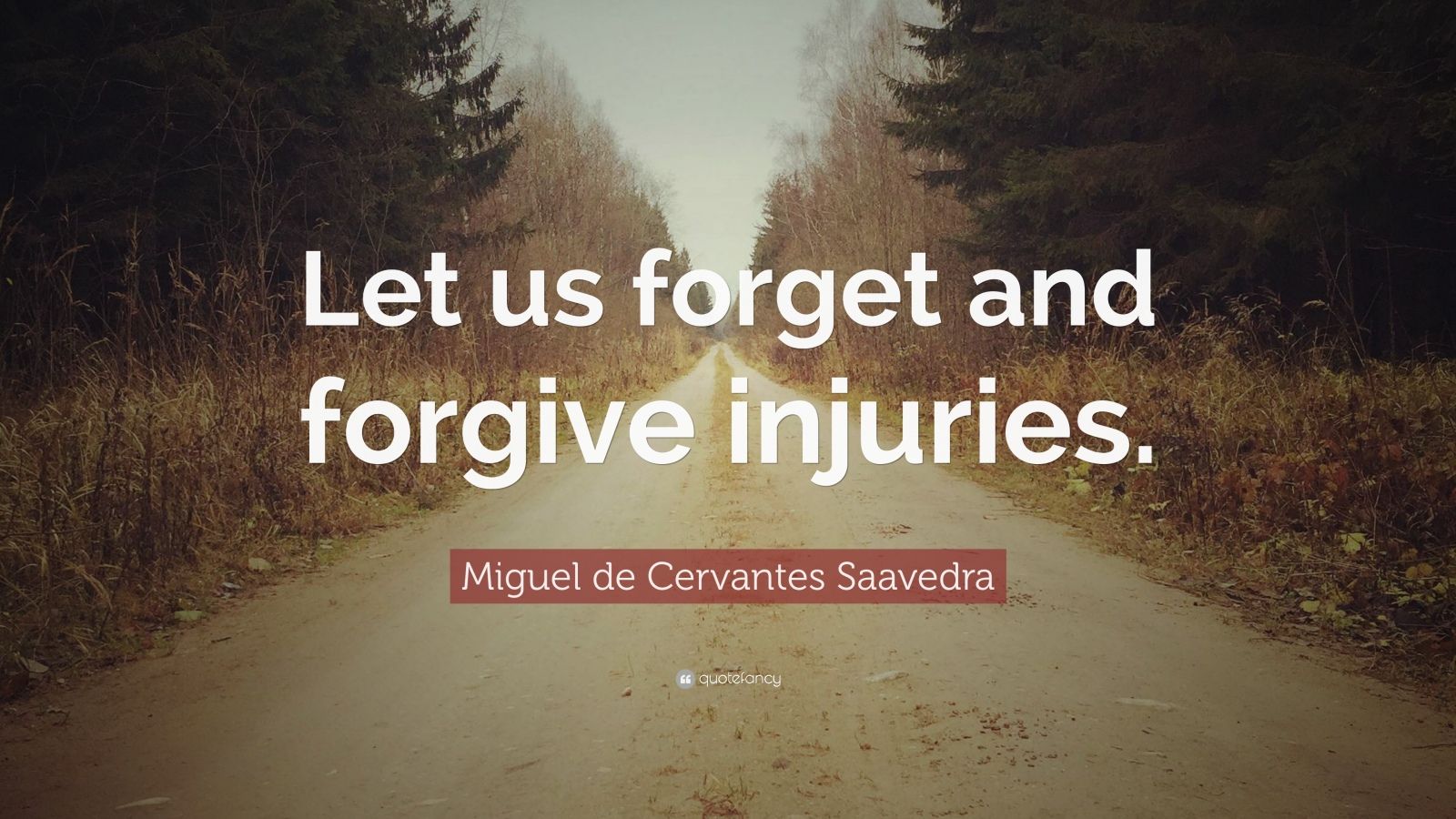 Miguel de Cervantes Saavedra Quote: “Let us forget and forgive injuries.”