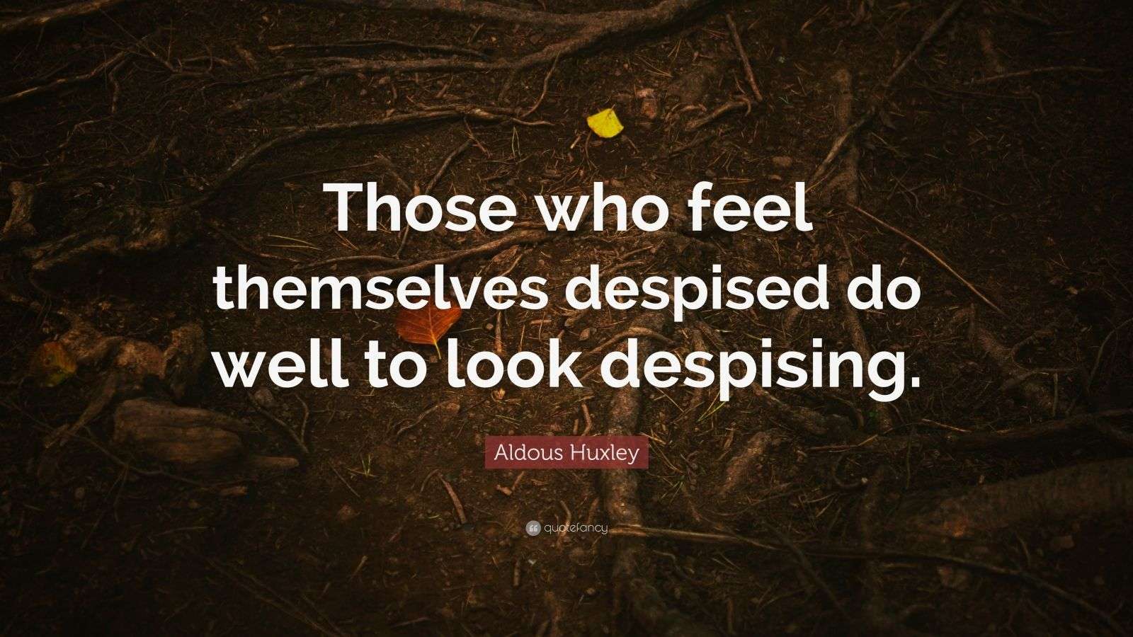 Aldous Huxley Quote: “Those who feel themselves despised do well to ...