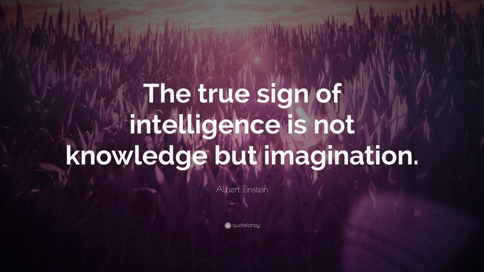 Albert Einstein Quote: “The true sign of intelligence is not knowledge ...