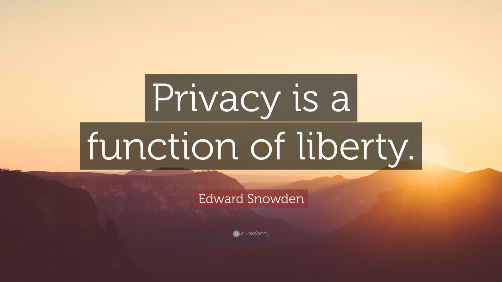Edward Snowden Quote: “Privacy is a function of liberty.” (7 wallpapers ...