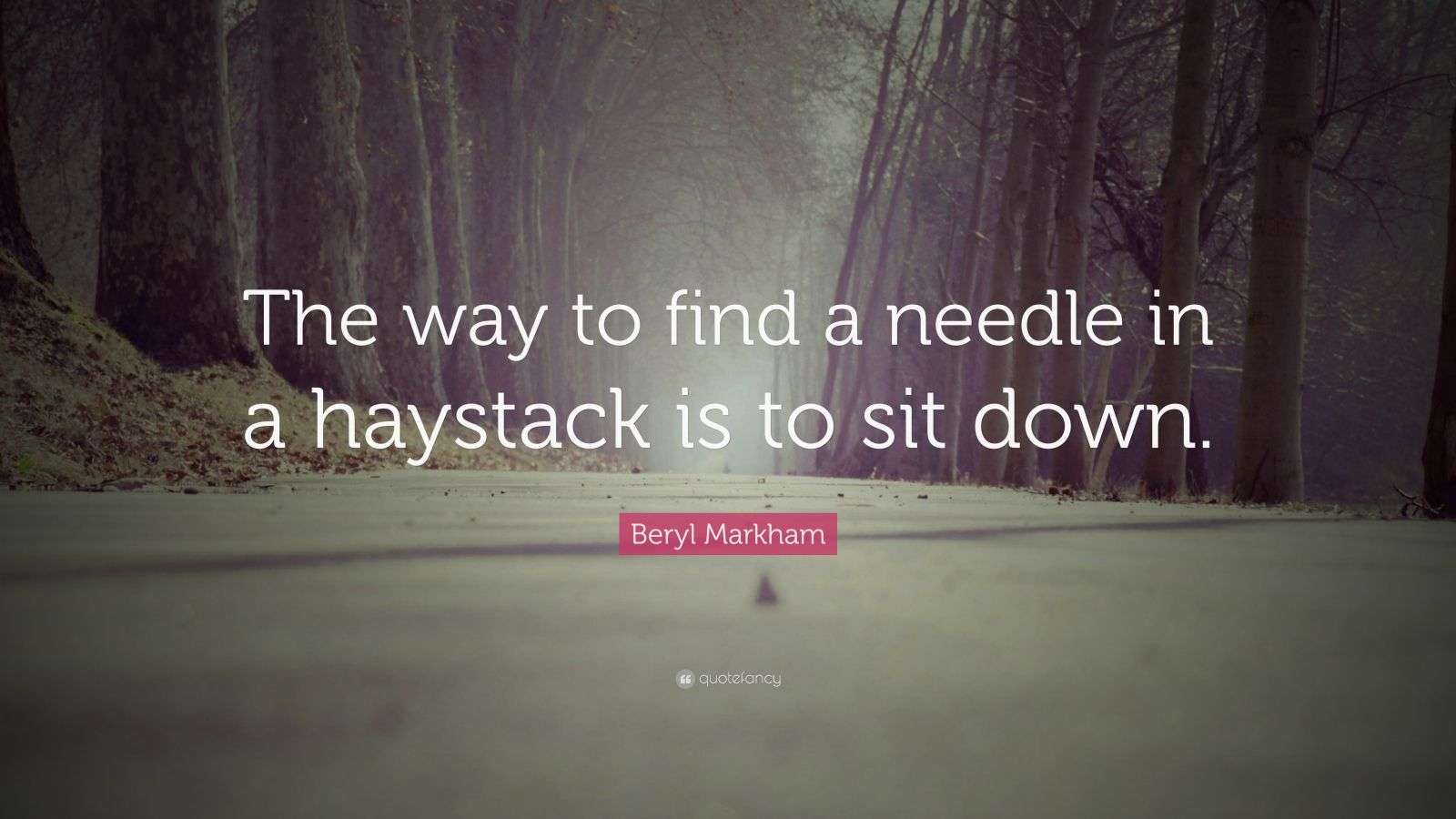 Beryl Markham Quote: “The way to find a needle in a haystack is to sit ...
