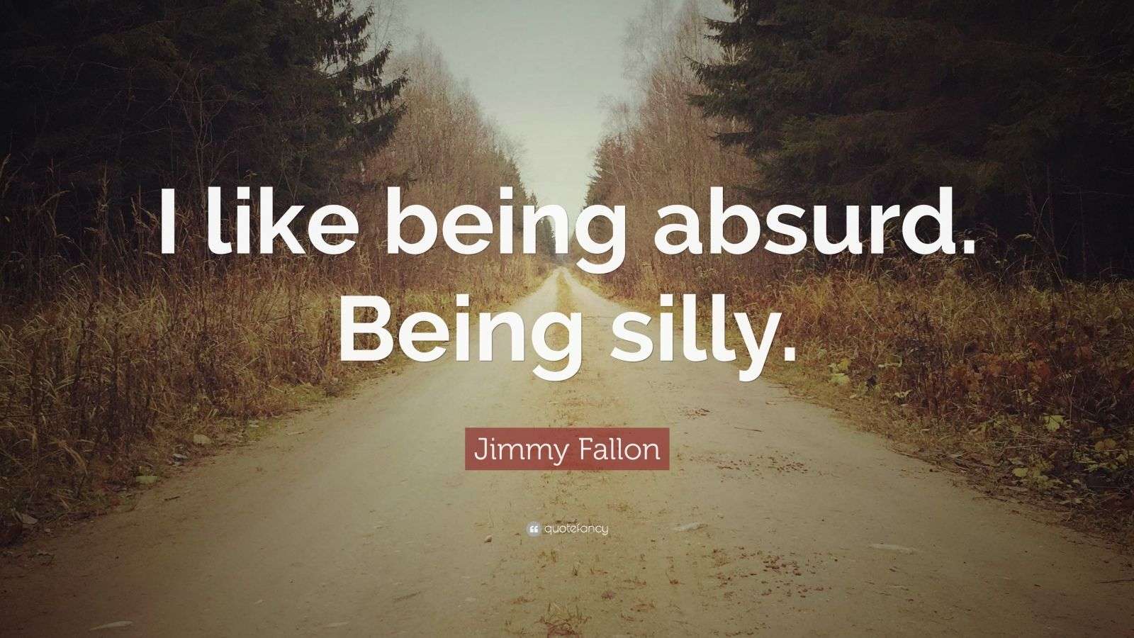 Jimmy Fallon Quote: “I like being absurd. Being silly.”