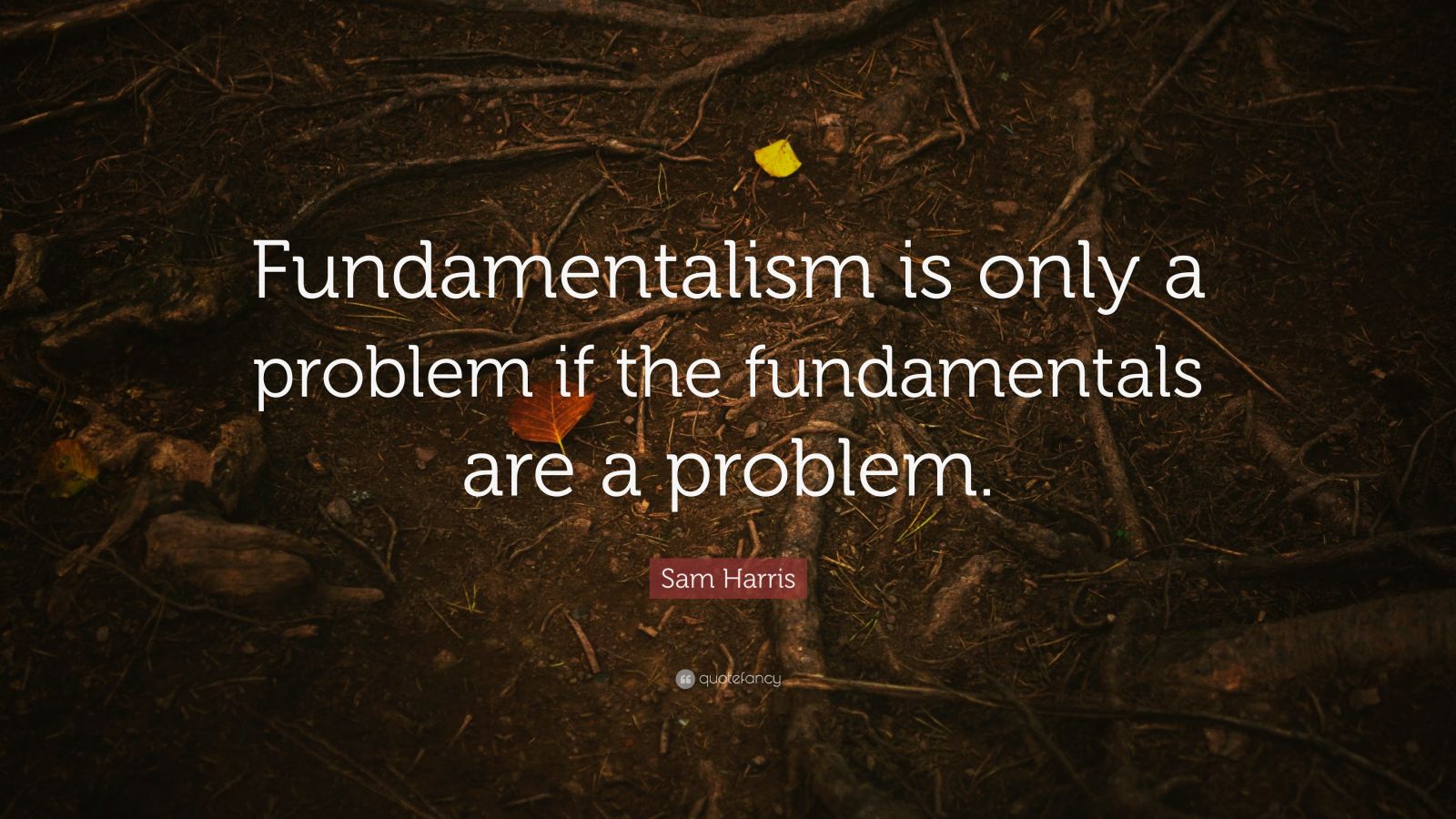 Sam Harris Quote: “Fundamentalism is only a problem if the fundamentals ...