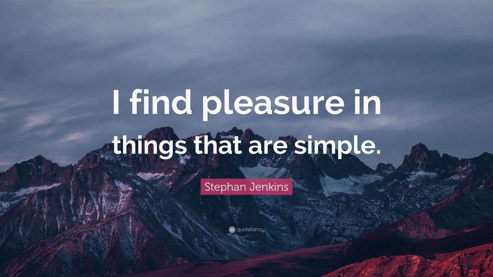 Stephan Jenkins Quote: “I find pleasure in things that are simple.” (7 ...