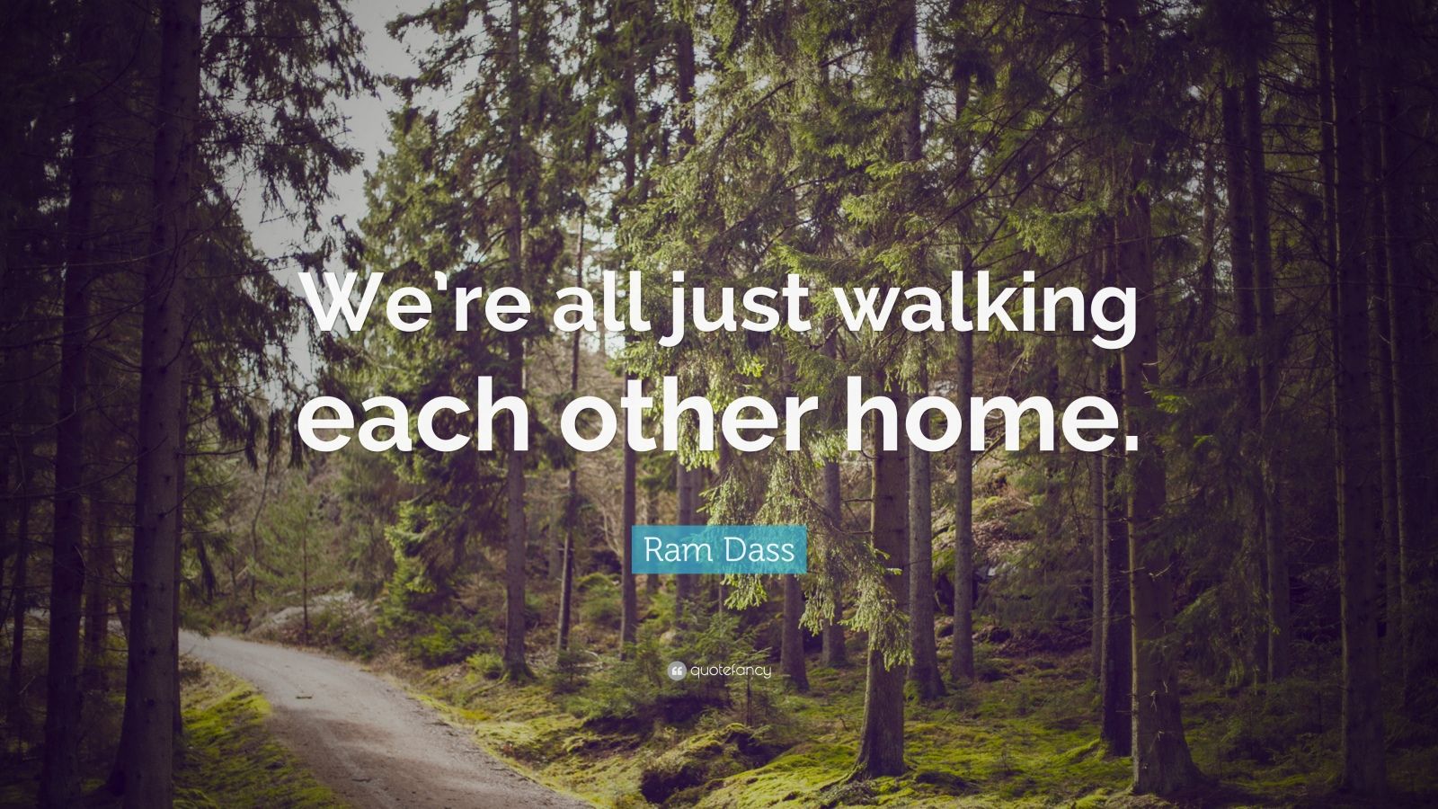 Ram Dass Quote: “We’re all just walking each other home.” (28 ...