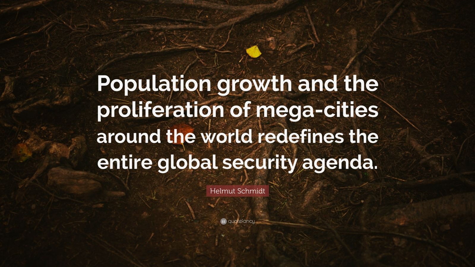 Helmut Schmidt Quote: “Population growth and the proliferation of mega ...