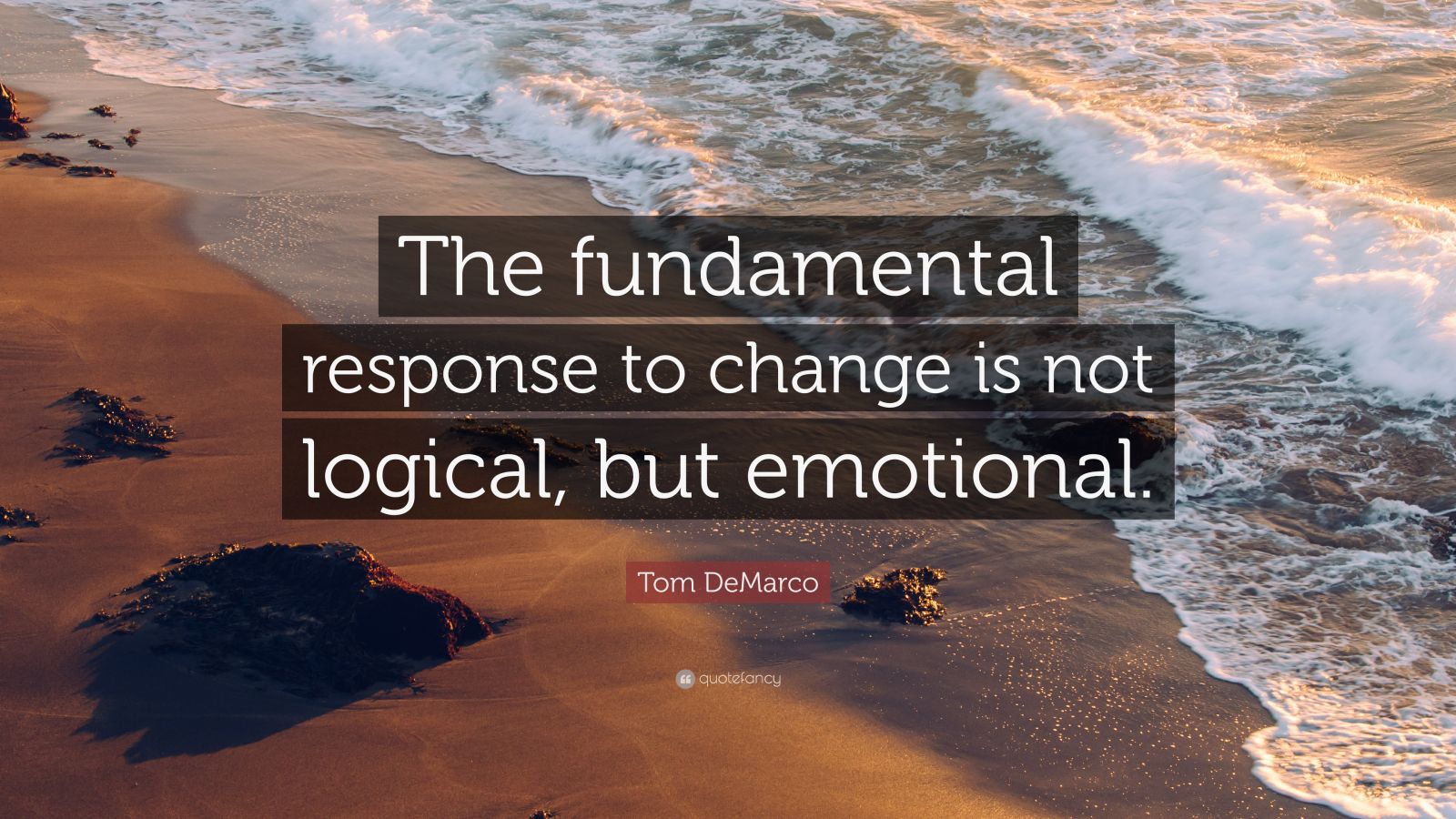 Tom DeMarco Quote: “The fundamental response to change is not logical ...