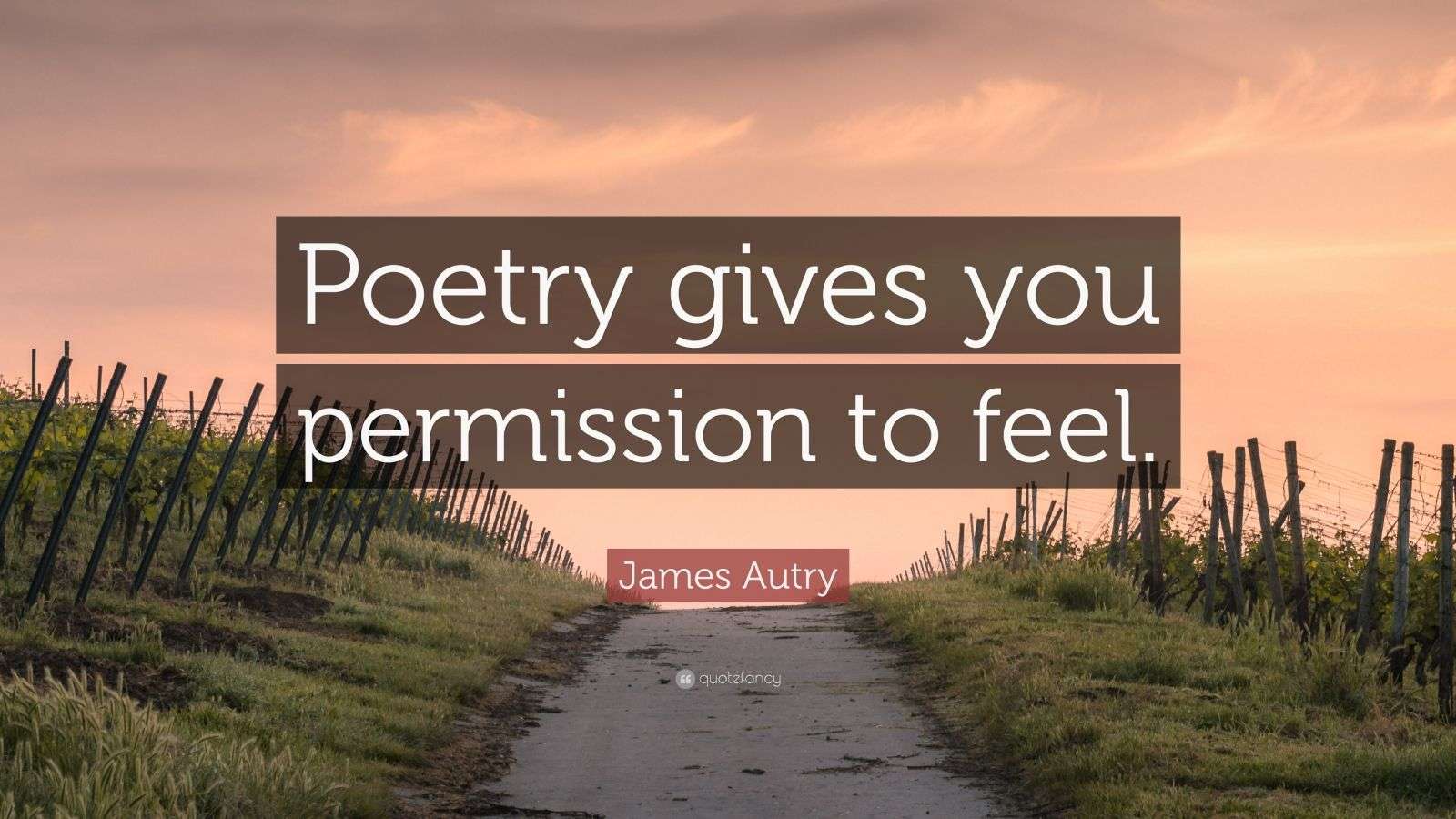 James Autry Quote: “Poetry gives you permission to feel.” (7 wallpapers ...