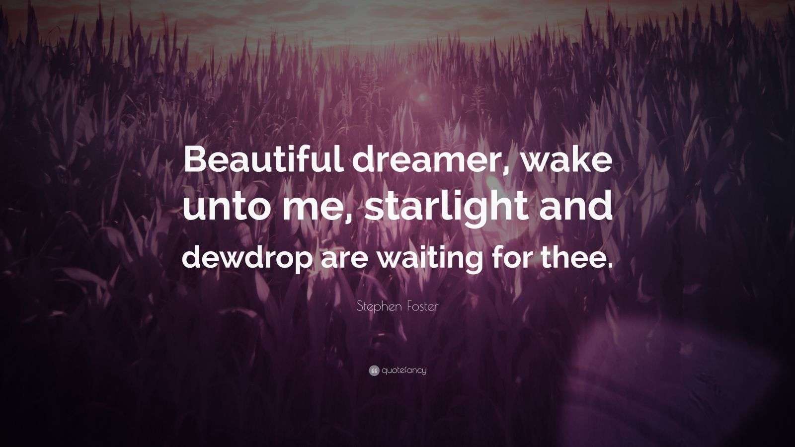 Stephen Foster Quote: “Beautiful dreamer, wake unto me, starlight and ...
