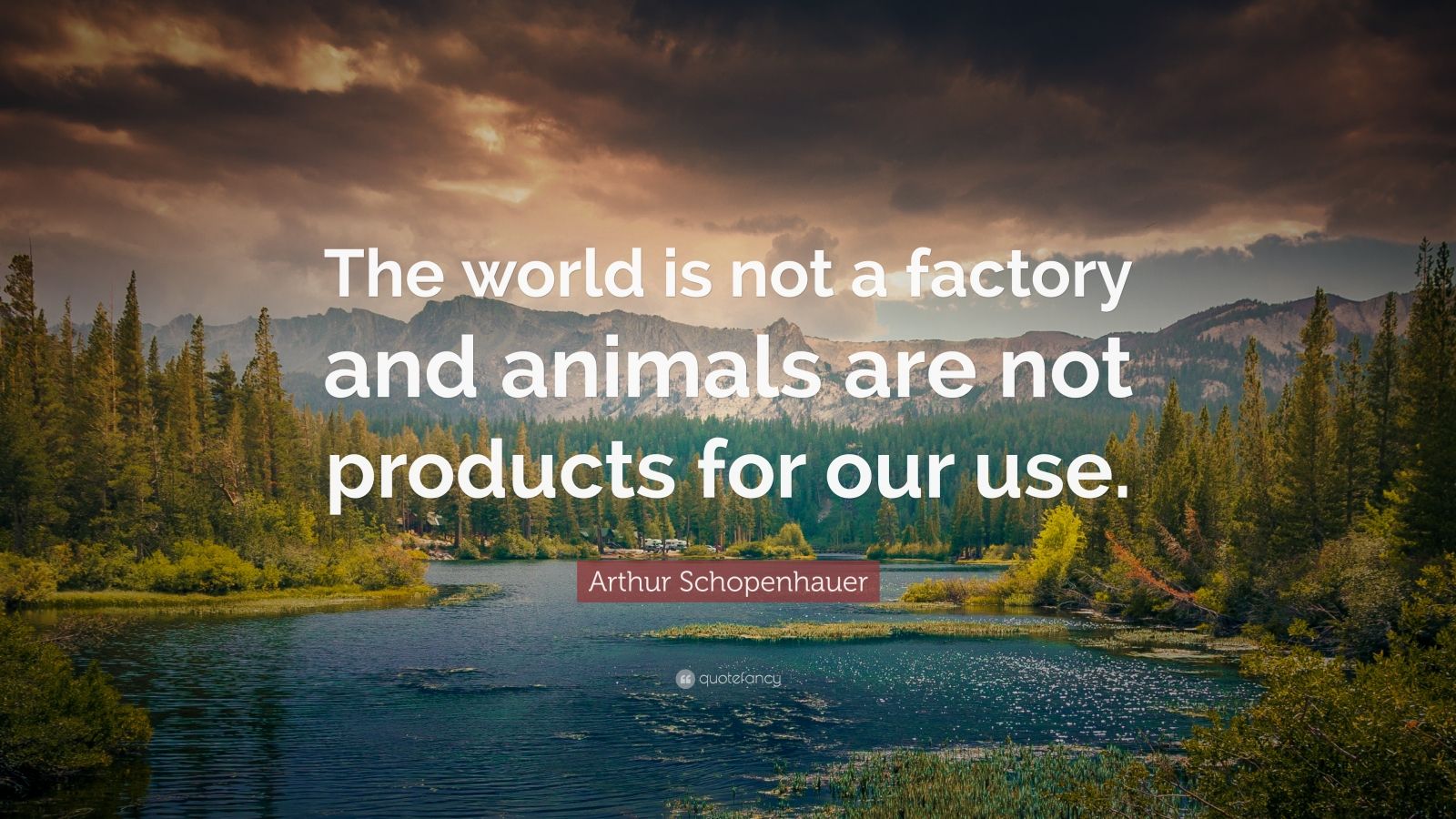 Arthur Schopenhauer Quote: “The world is not a factory and animals are ...