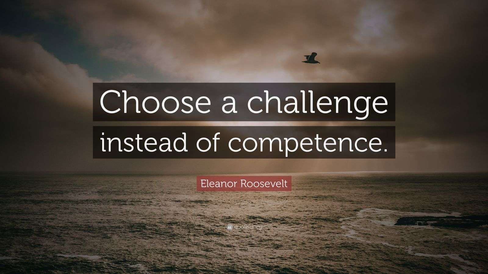 Eleanor Roosevelt Quote: “Choose a challenge instead of competence.” (7 ...