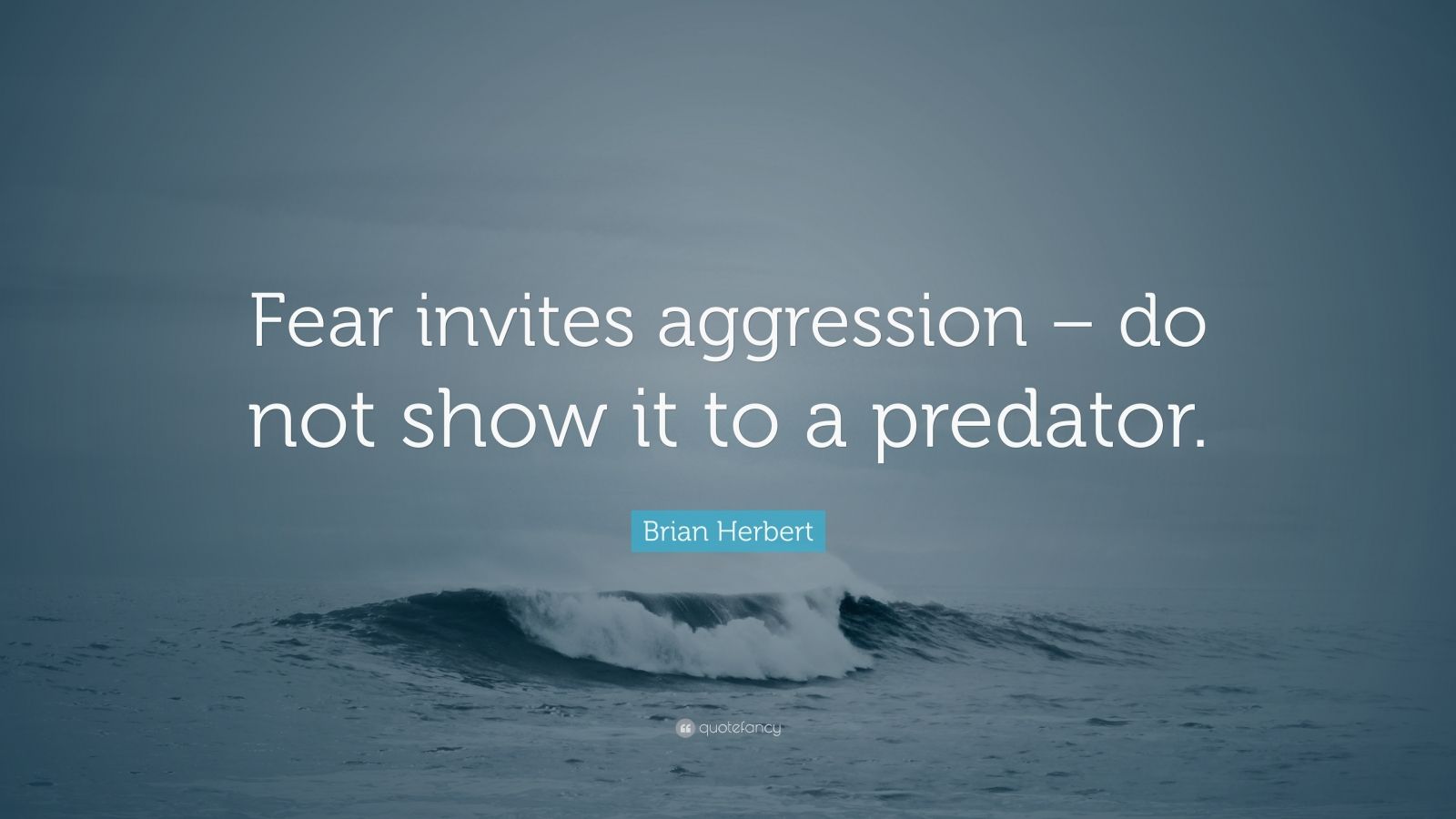 Brian Herbert Quote: “Fear invites aggression – do not show it to a ...