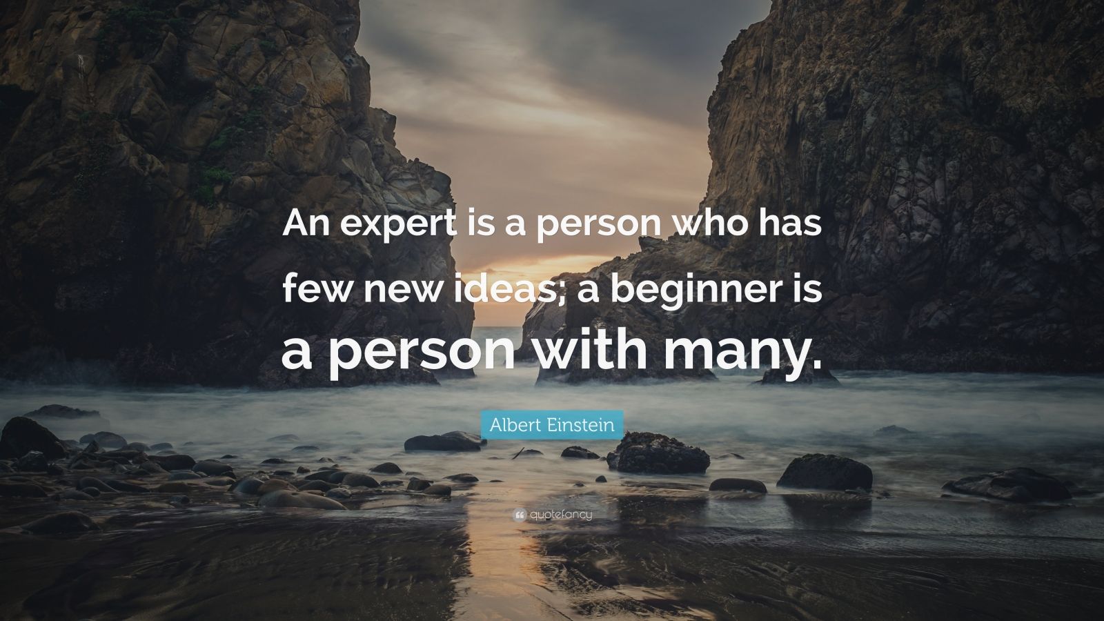 Albert Einstein Quote: “An expert is a person who has few new ideas; a ...