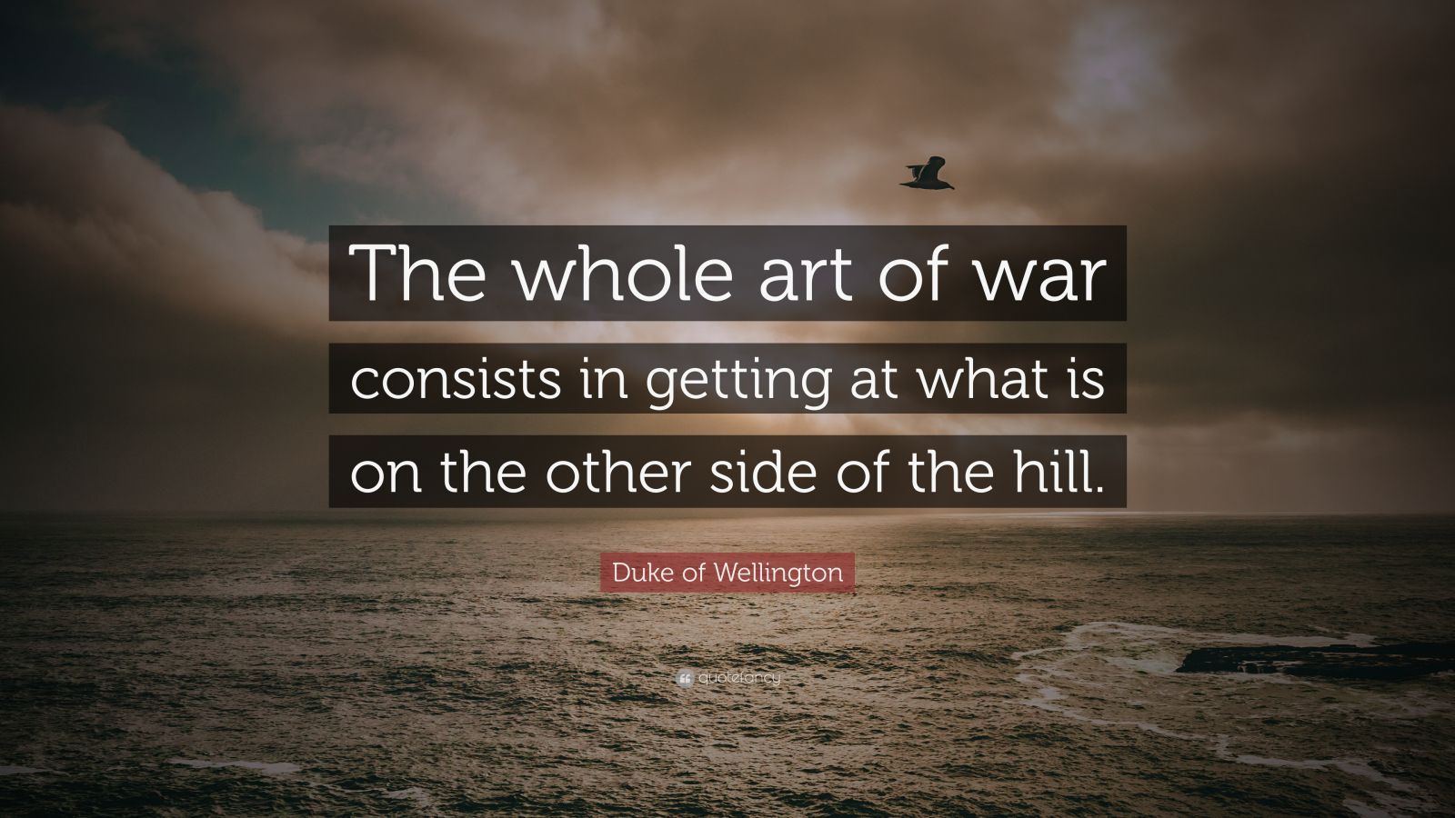 Top 50 Duke of Wellington Quotes | 2021 Edition | Free Images - QuoteFancy