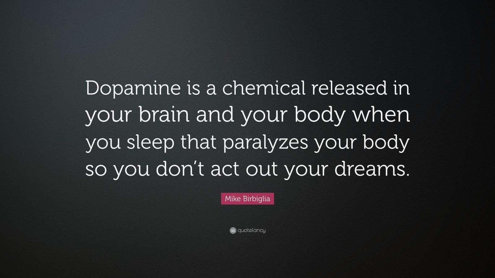 Mike Birbiglia Quote: “Dopamine is a chemical released in your brain ...