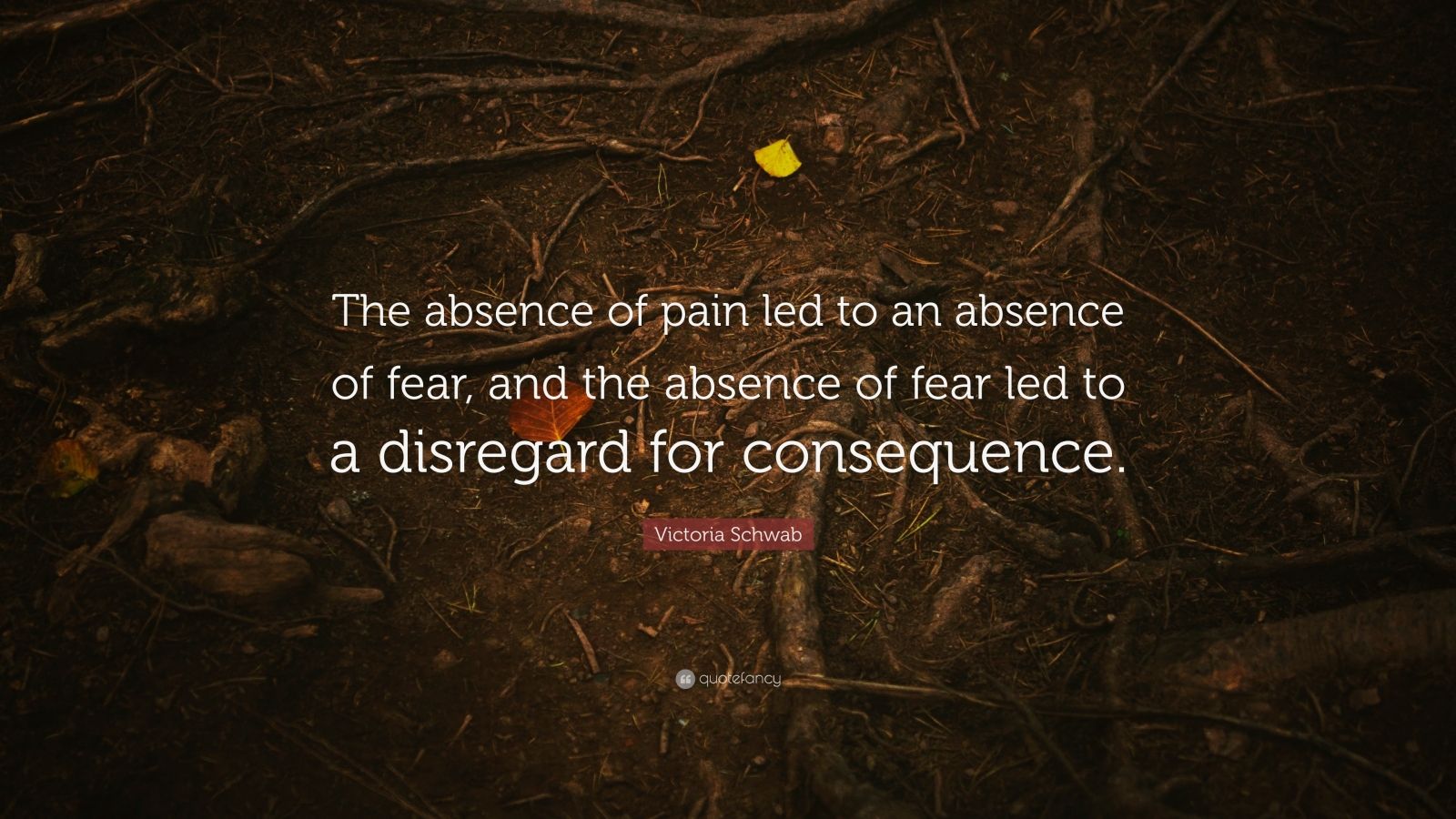 Victoria Schwab Quote: “The absence of pain led to an absence of fear ...