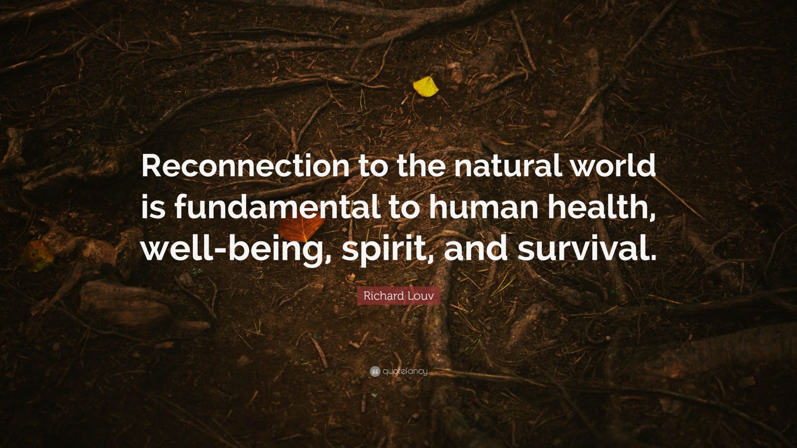 Richard Louv Quote: “Reconnection to the natural world is fundamental ...