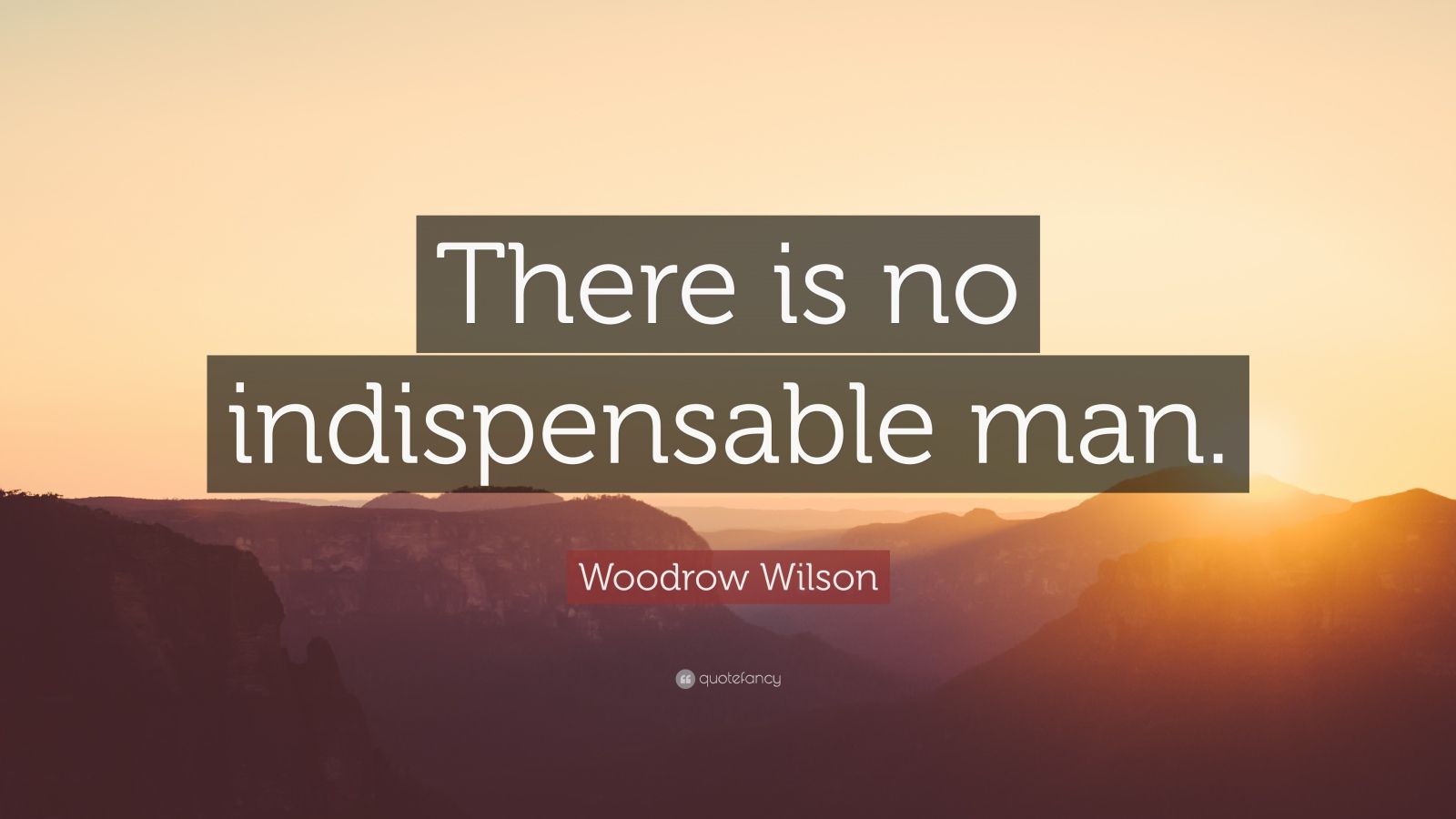 Woodrow Wilson Quote: “There is no indispensable man.”