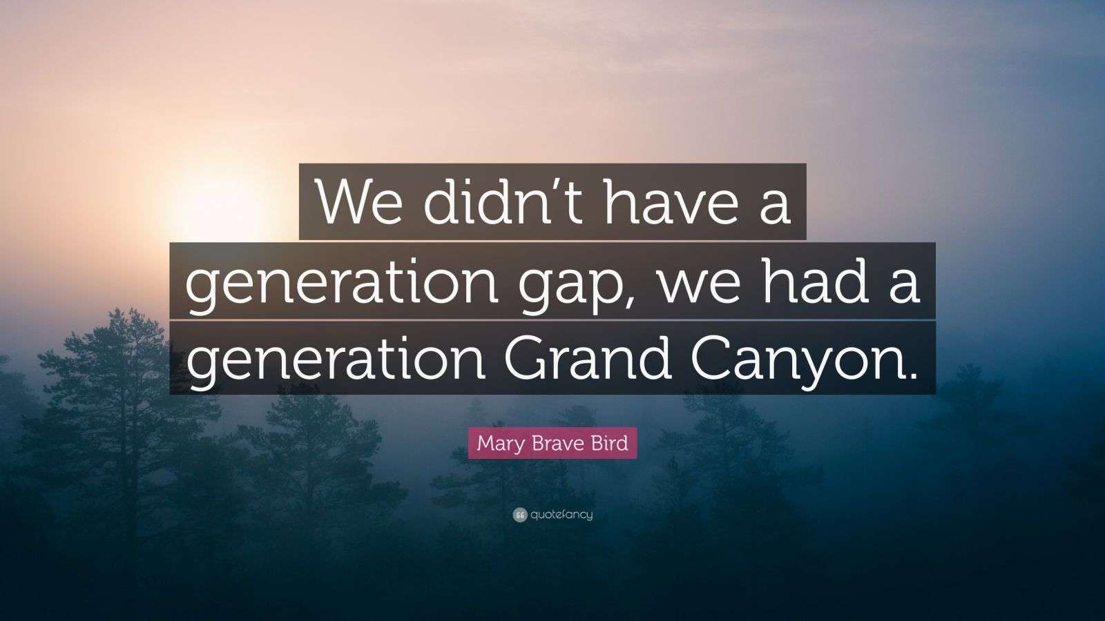 Mary Brave Bird Quote: “We didn’t have a generation gap, we had a ...