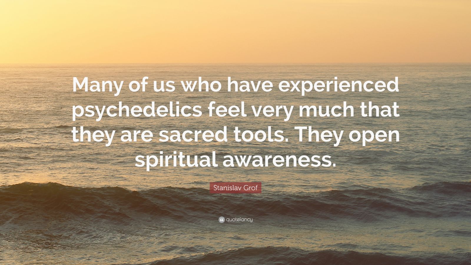 Stanislav Grof Quote: “Many of us who have experienced psychedelics ...
