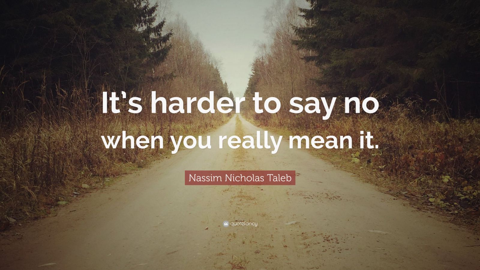 Top 500 Nassim Nicholas Taleb Quotes (2026 Update) [Page 3] - QuoteFancy