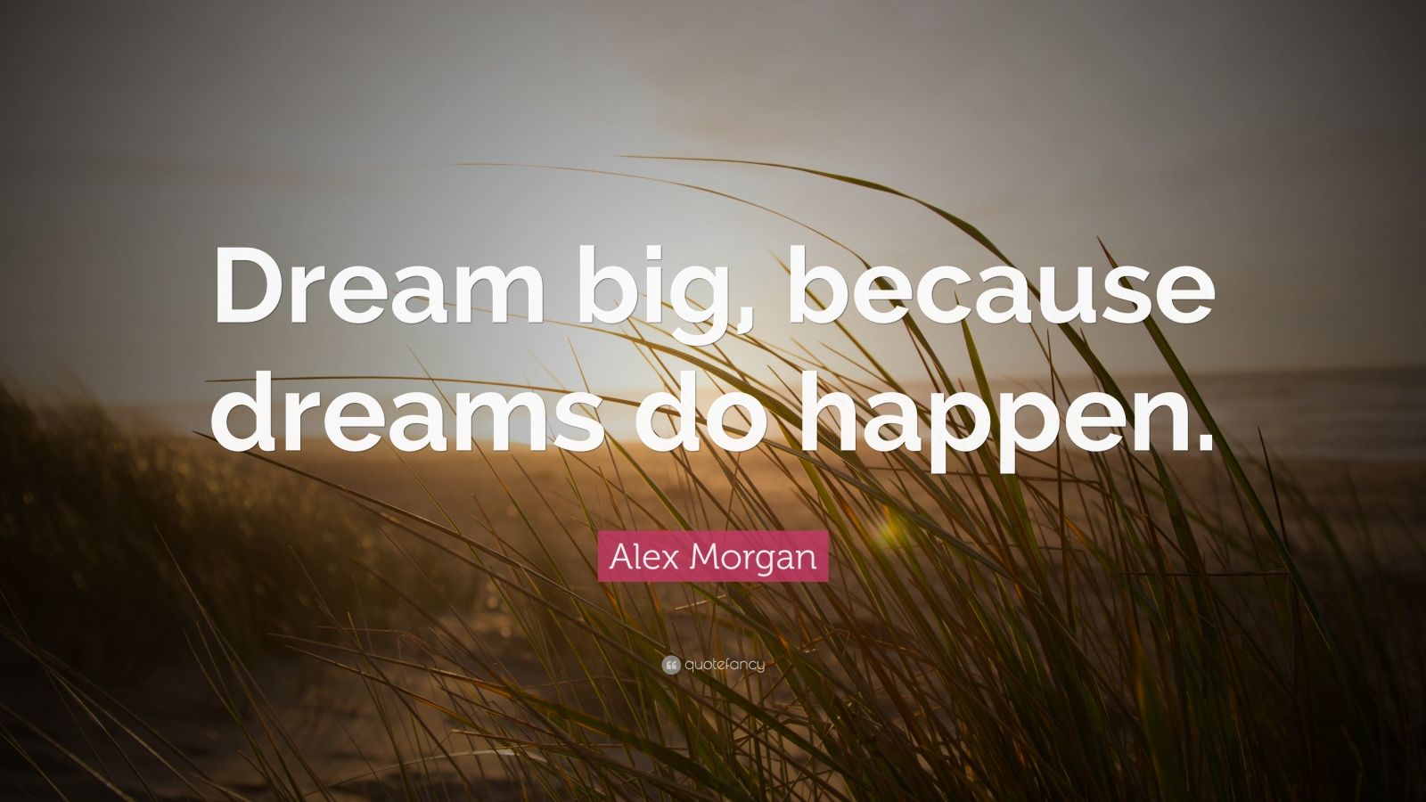 Alex Morgan Quote: “Dream big, because dreams do happen.” (22 ...