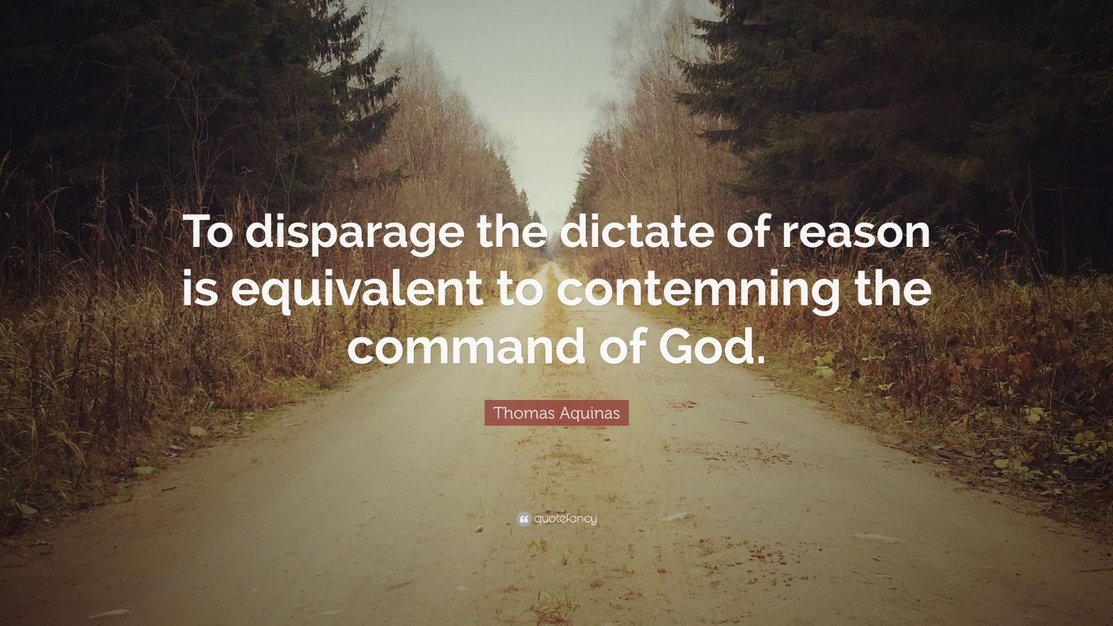 Thomas Aquinas Quote: “To disparage the dictate of reason is equivalent ...