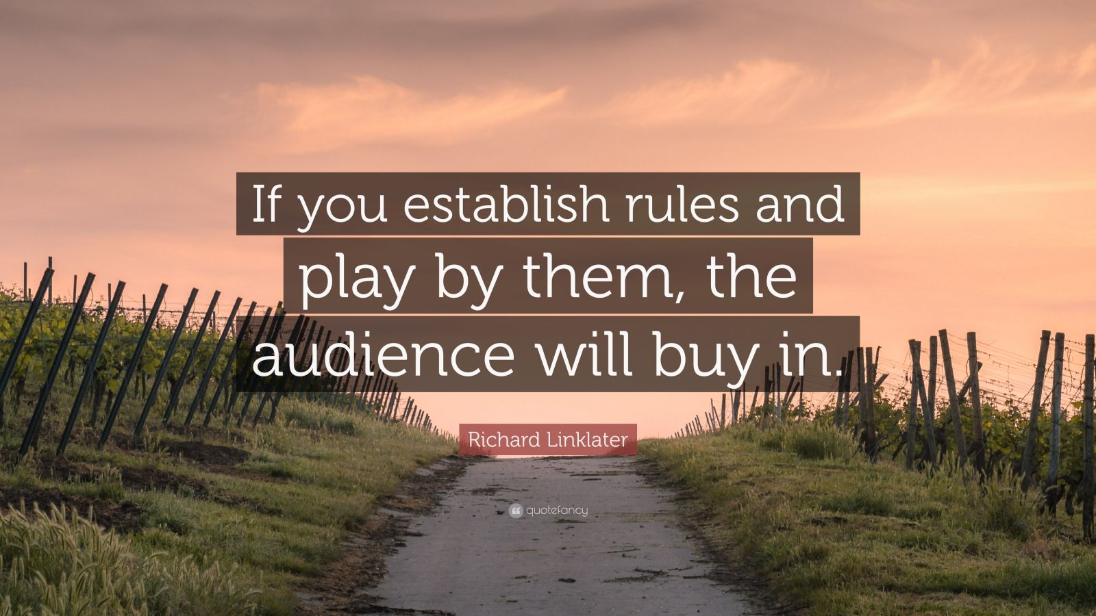 Richard Linklater Quote: “If you establish rules and play by them, the ...
