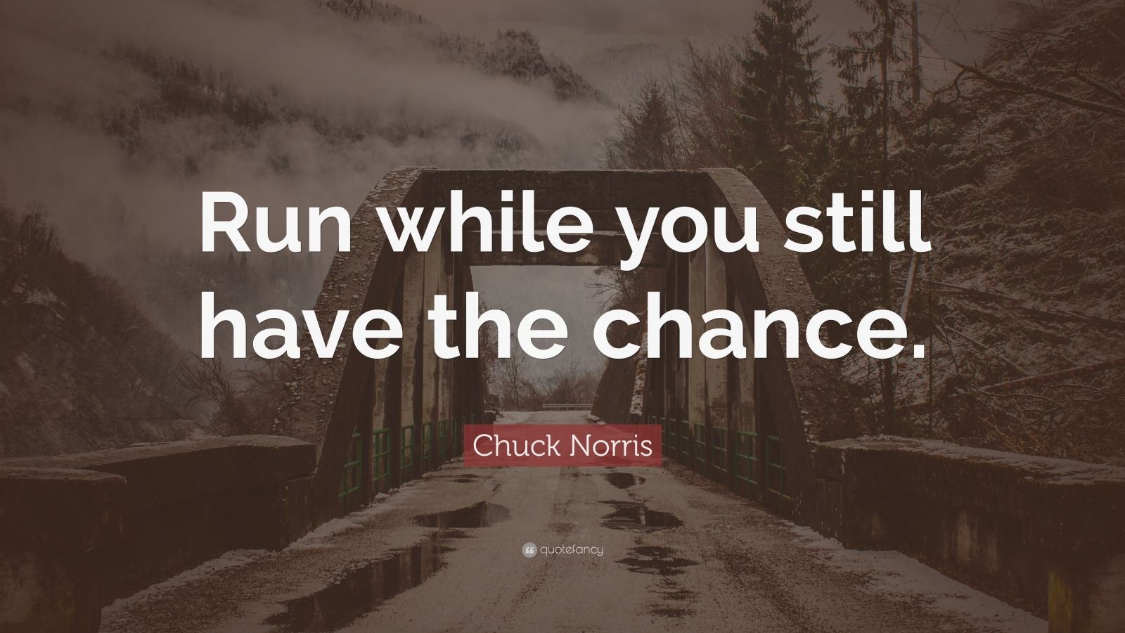 Chuck Norris Quote: “Run while you still have the chance.” (7 ...