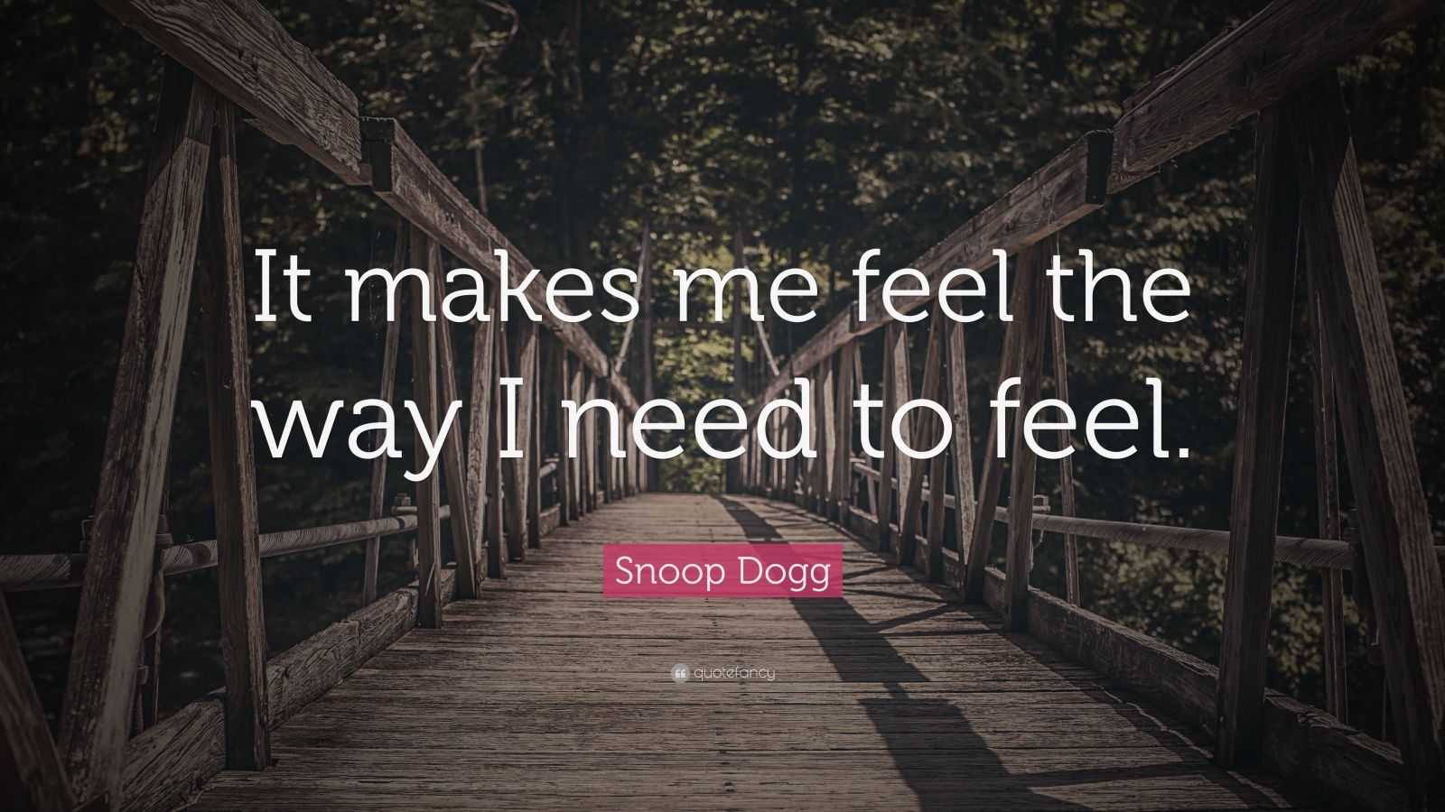 Snoop Dogg Quote: “It makes me feel the way I need to feel.”