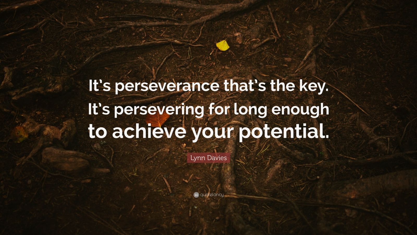 Lynn Davies Quote: “It’s perseverance that’s the key. It’s persevering ...