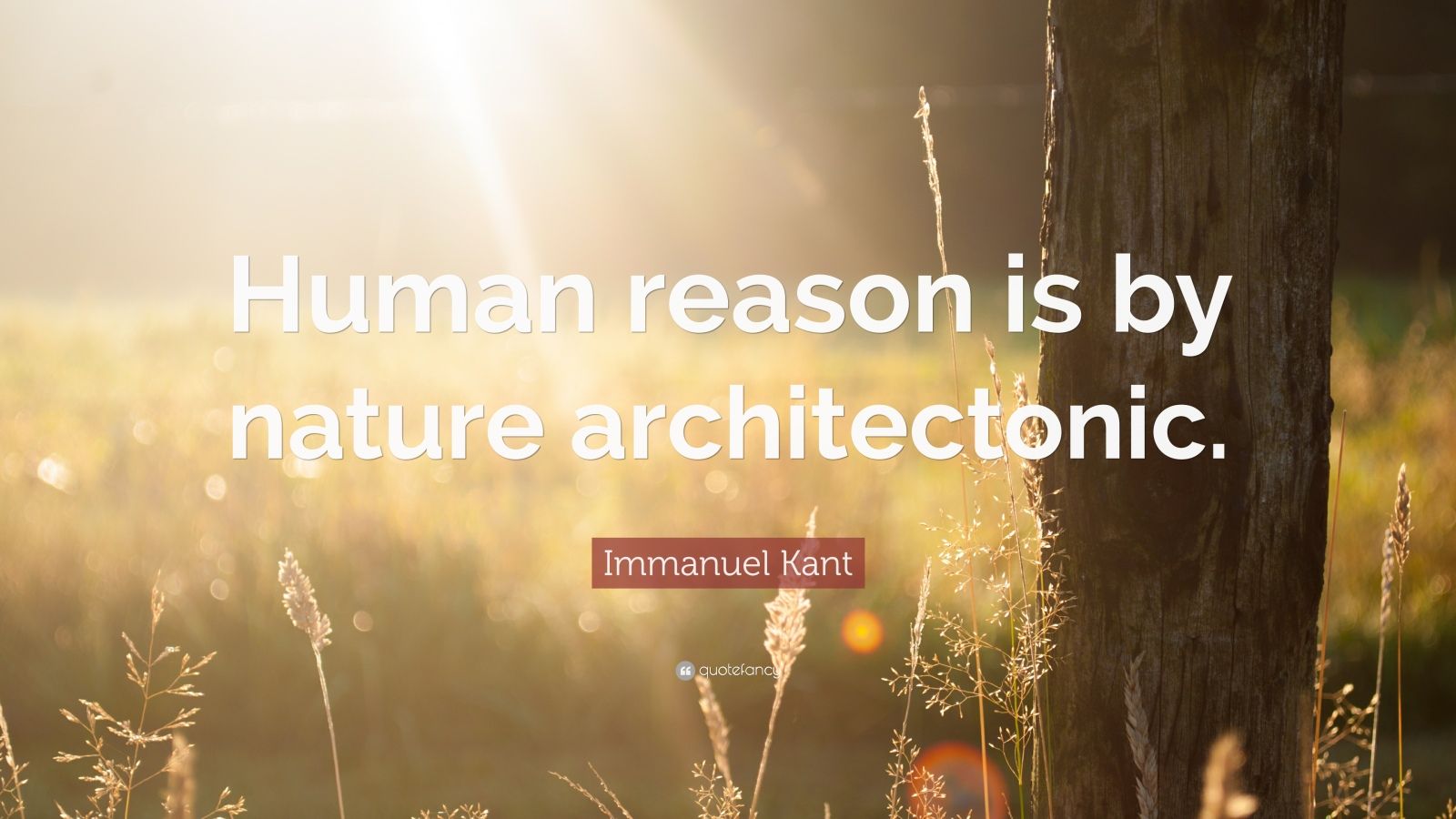 Immanuel Kant Quote: “Human reason is by nature architectonic.” (12 ...