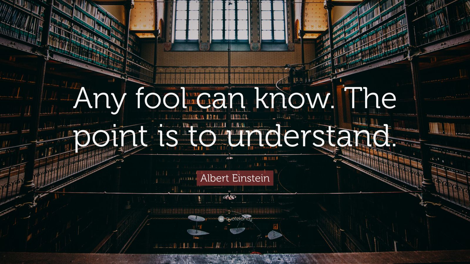Albert Einstein Quote: “Any fool can know. The point is to understand ...