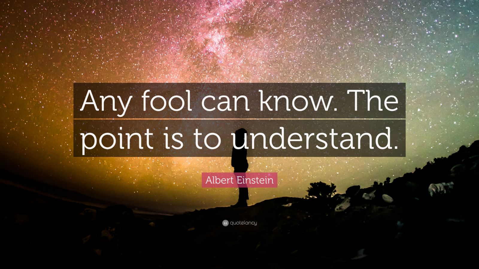 Albert Einstein Quote: “Any fool can know. The point is to understand ...