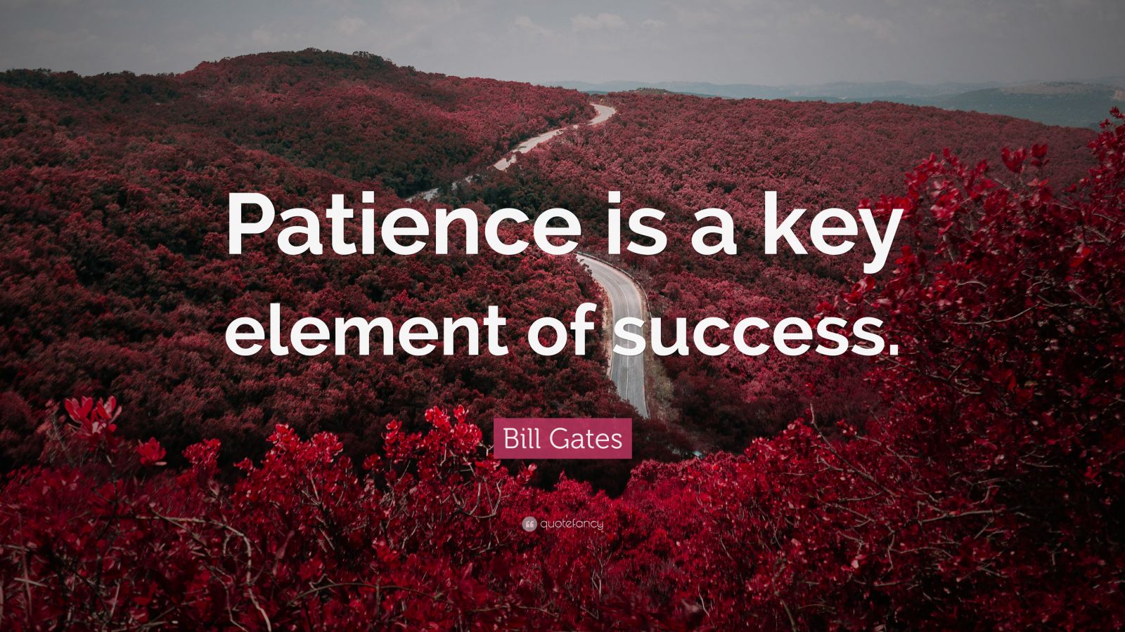 Bill Gates Quote: “Patience is a key element of success.” (40 ...