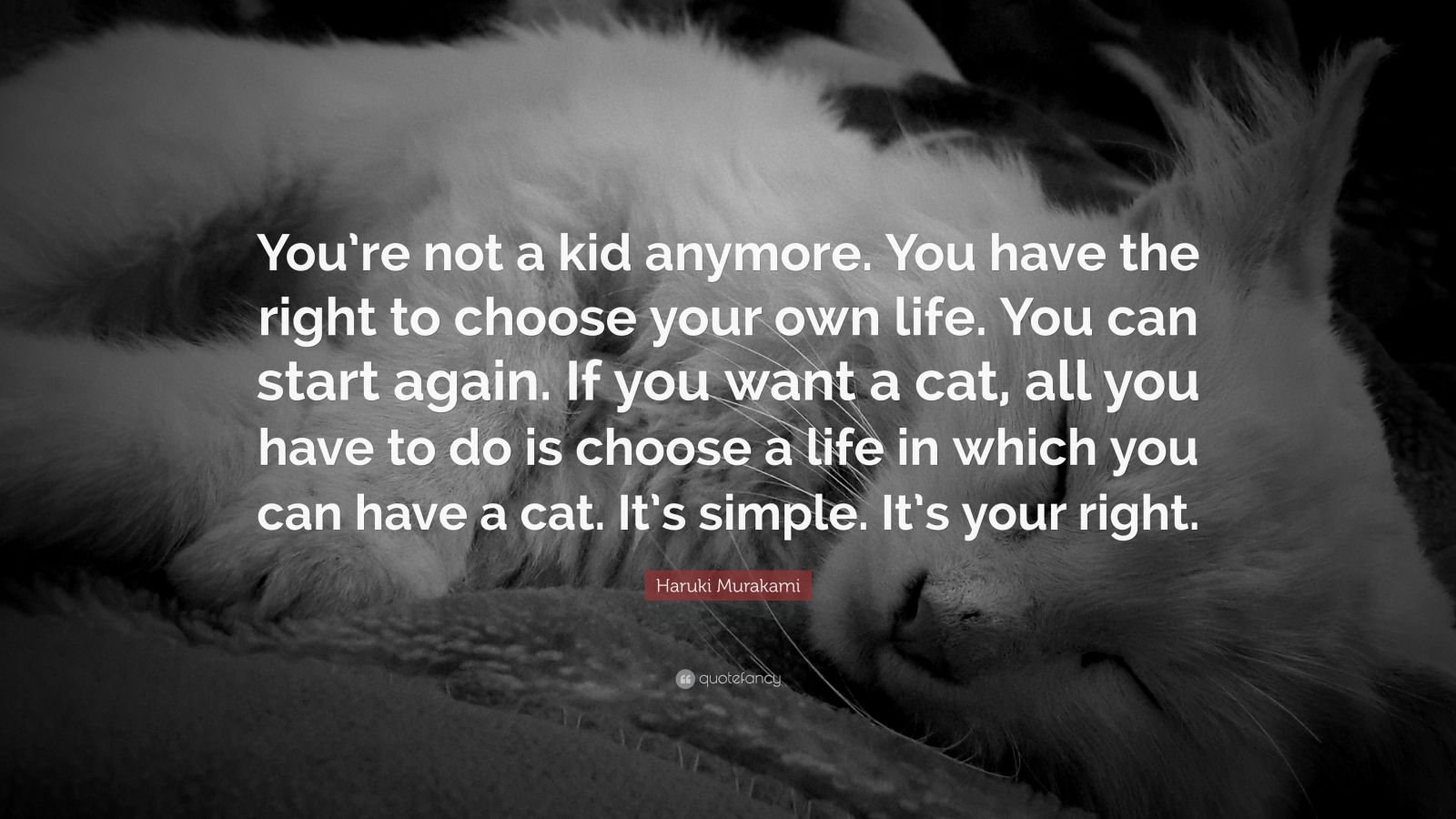 Haruki Murakami Quote: “You’re not a kid anymore. You have the right to ...