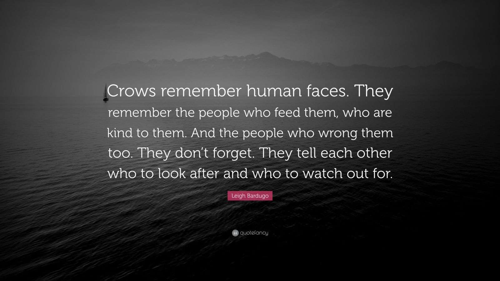 Leigh Bardugo Quote: “Crows remember human faces. They remember the ...