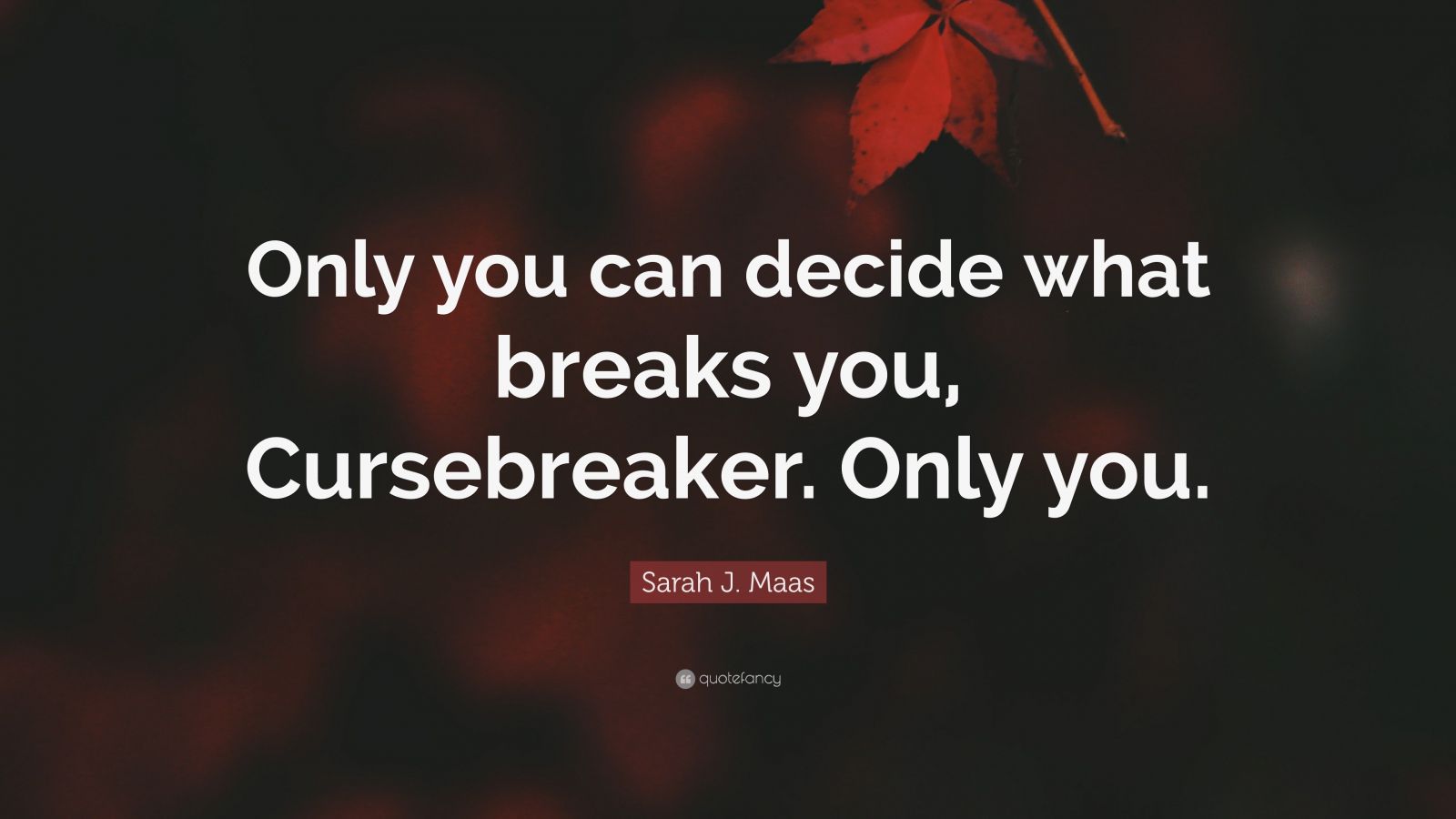 Sarah J. Maas Quote: “Only you can decide what breaks you, Cursebreaker ...