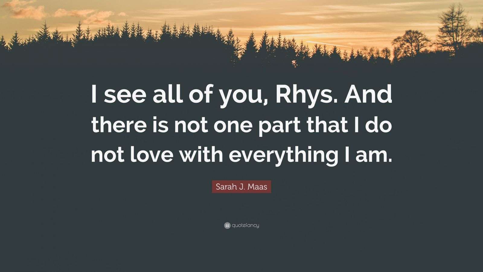 Sarah J. Maas Quote: “I see all of you, Rhys. And there is not one part ...