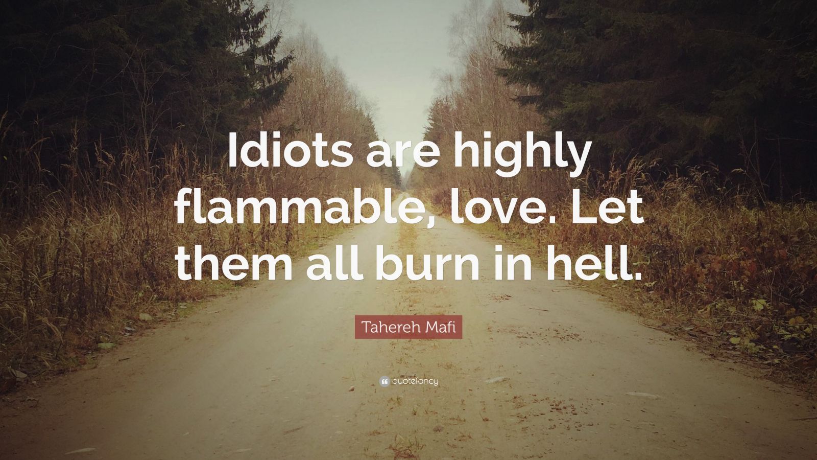 Tahereh Mafi Quote: “Idiots are highly flammable, love. Let them all ...