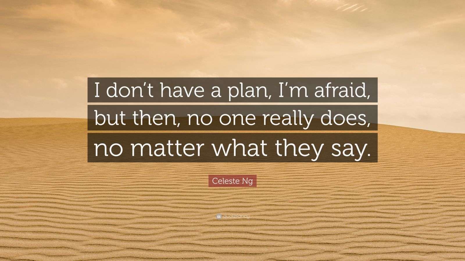 Celeste Ng Quote: “I don’t have a plan, I’m afraid, but then, no one ...