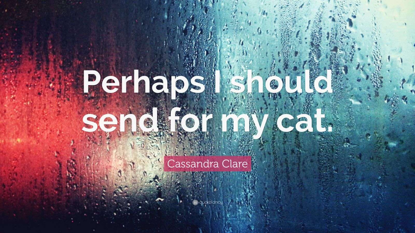Cassandra Clare Quote: “Perhaps I should send for my cat.”