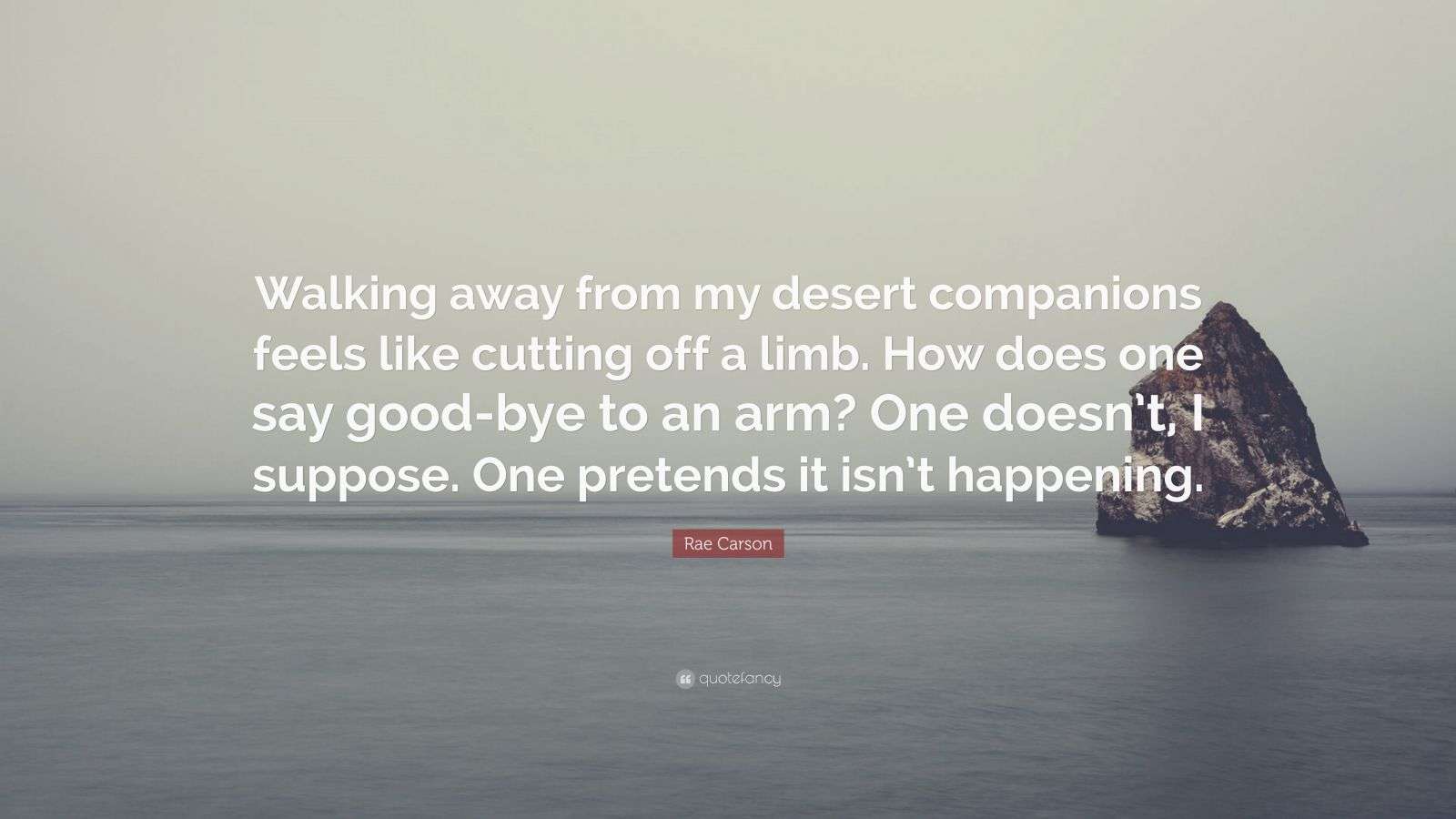 Rae Carson Quote: “Walking away from my desert companions feels like ...