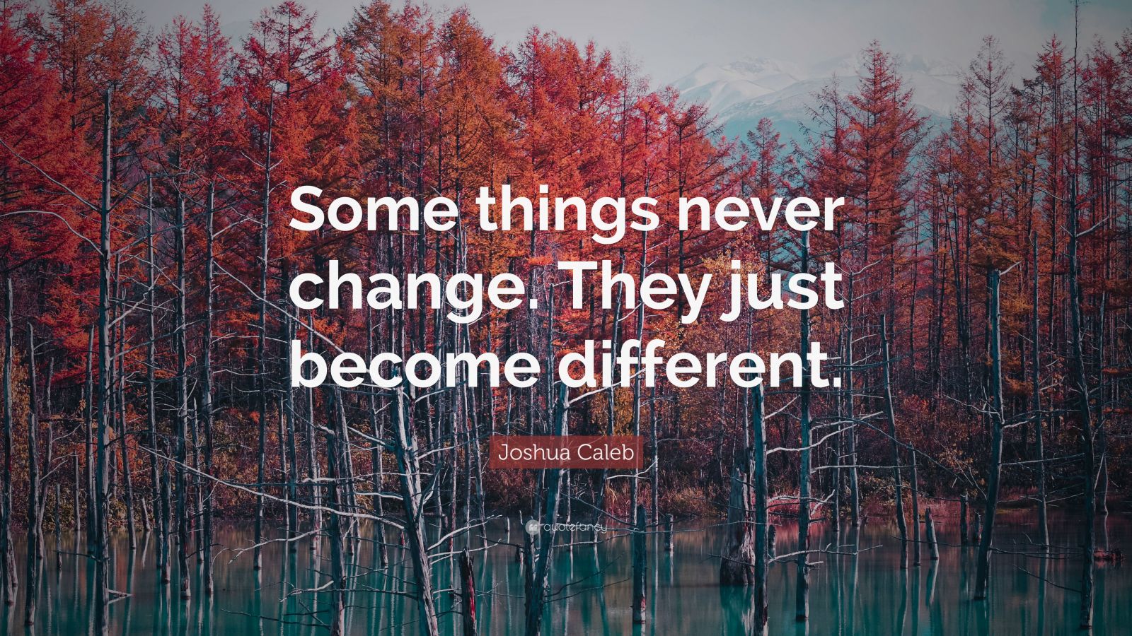 Joshua Caleb Quote: “Some things never change. They just become different.”